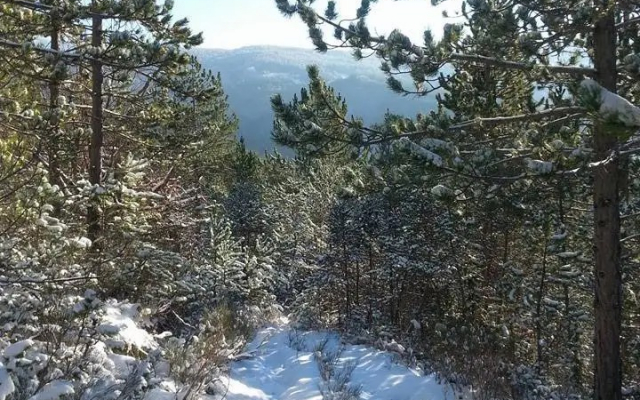 VOLVENT – Commune en Drôme provençale