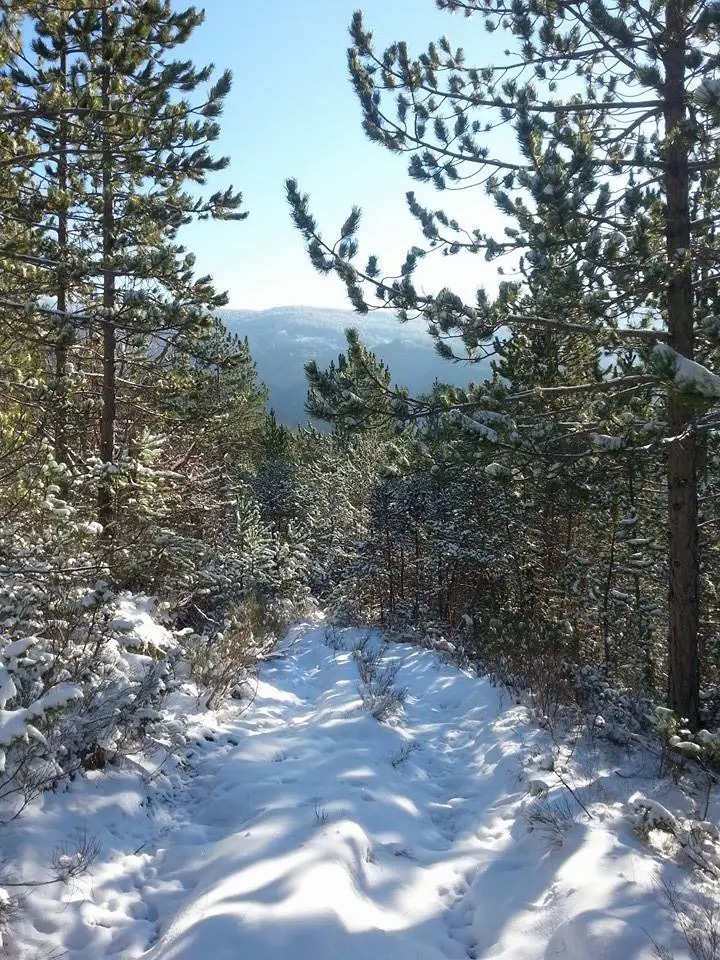 Le village en photos – VOLVENT