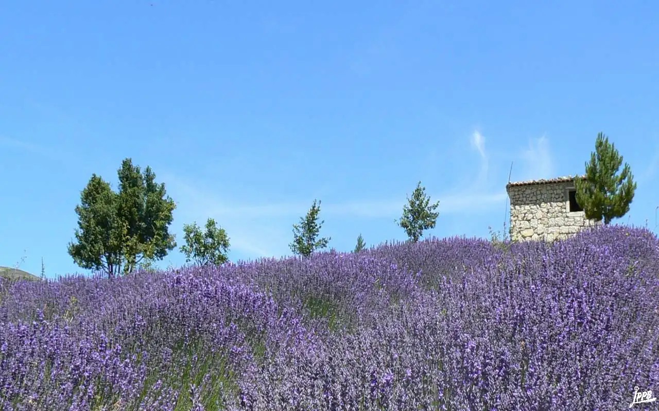 Le village en photos – VOLVENT